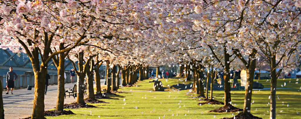Things To Do In And Around Portland - Tom McCall Waterfront Park